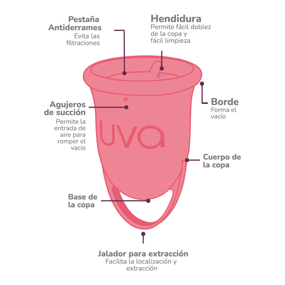 Copa Menstrual UVA 2 Talla A - Envío gratis a toda Colombia